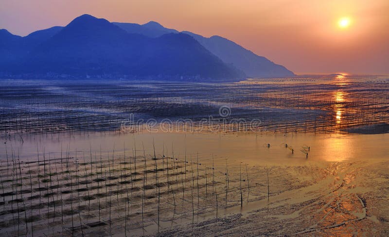 Fujian Xiapu Beach Sunrise,China Stock Image - Image of kelp, beautifil ...