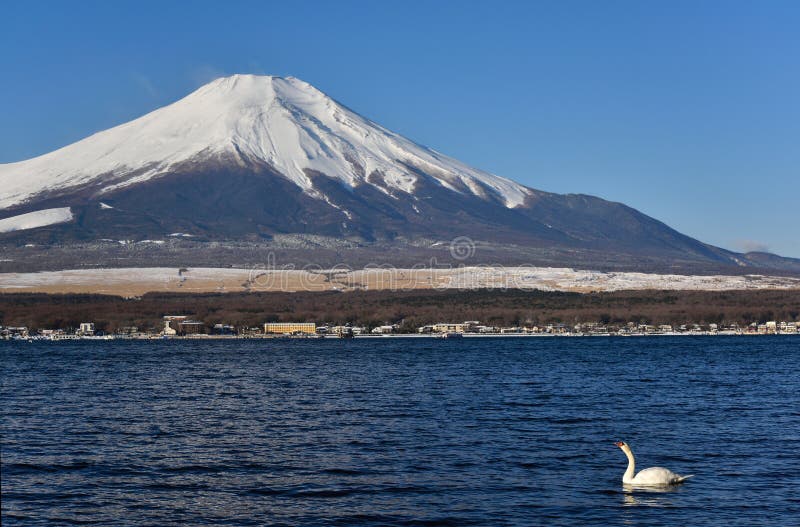 Fujiyama, Japon photo stock. Image du détendez, course - 77644328