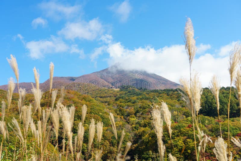 Fukushima Sightseeing Area in Japan Stock Image - Image of gold ...