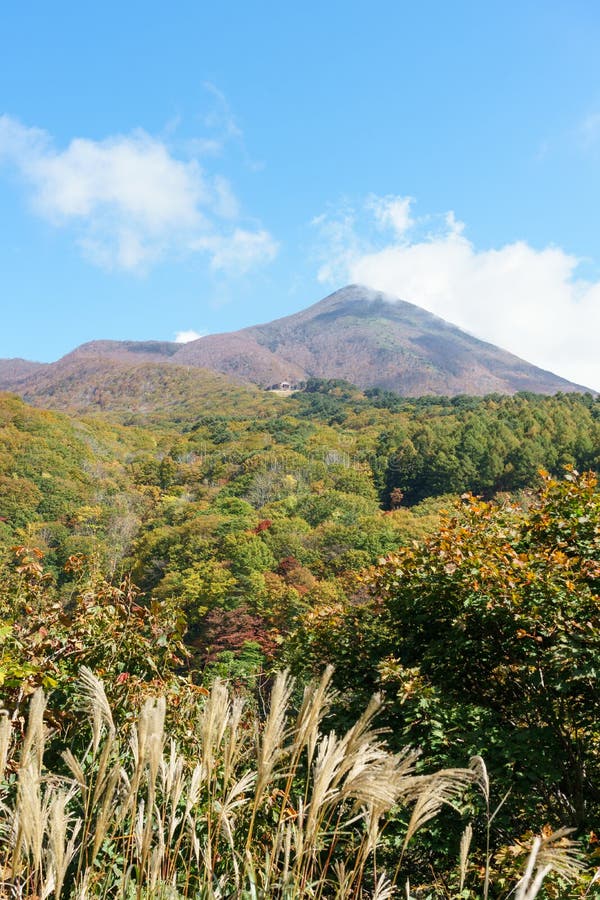 Fukushima Sightseeing Area in Japan Stock Image - Image of gold, sunny ...