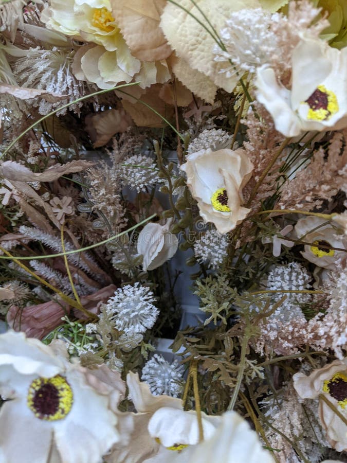 Full Background of Flower for Flora Concept Stock Photo - Image of ...