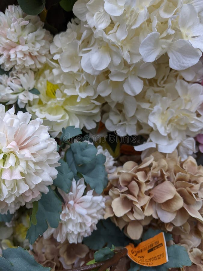 Full Background of Flower for Flora Concept Stock Image - Image of ...