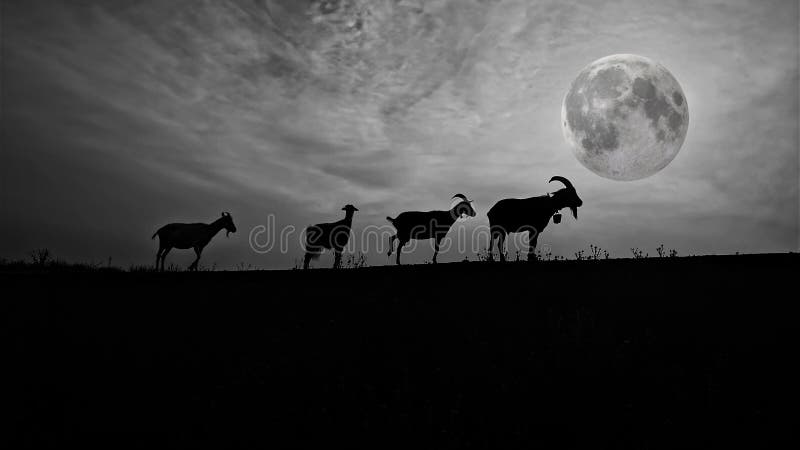 Buck Moon Stock Illustrations – 209 Buck Moon Stock Illustrations ...