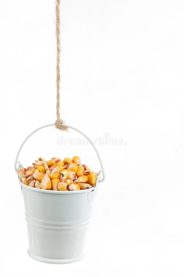 A Full Bucket of Corn Grains Hanging from a Rope Stock Image - Image of ...