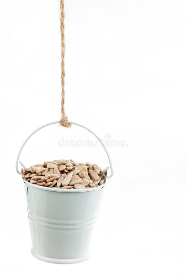 A Full Bucket of Sunflower Grains Hanging from a Rope Stock Image ...