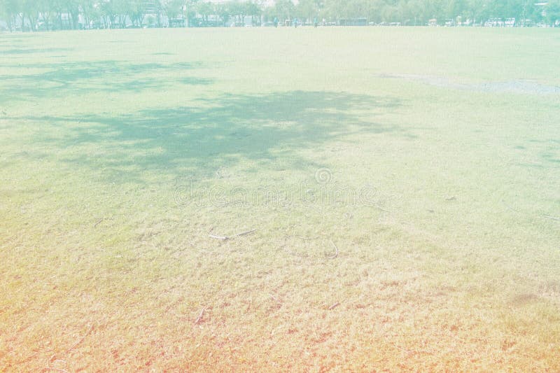 Full Color Grass Field in Big City Park Stock Photo - Image of grass ...