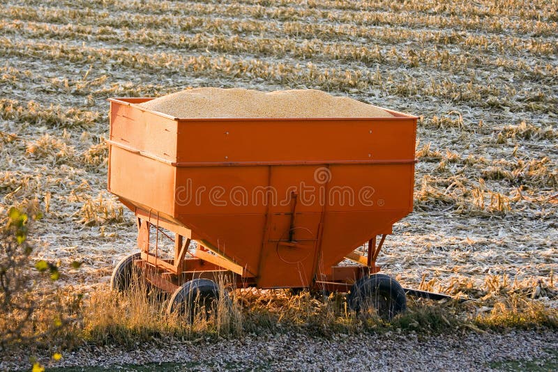 Full Corn Hopper and Fresh Snow Stock Image - Image of stubble, seed ...