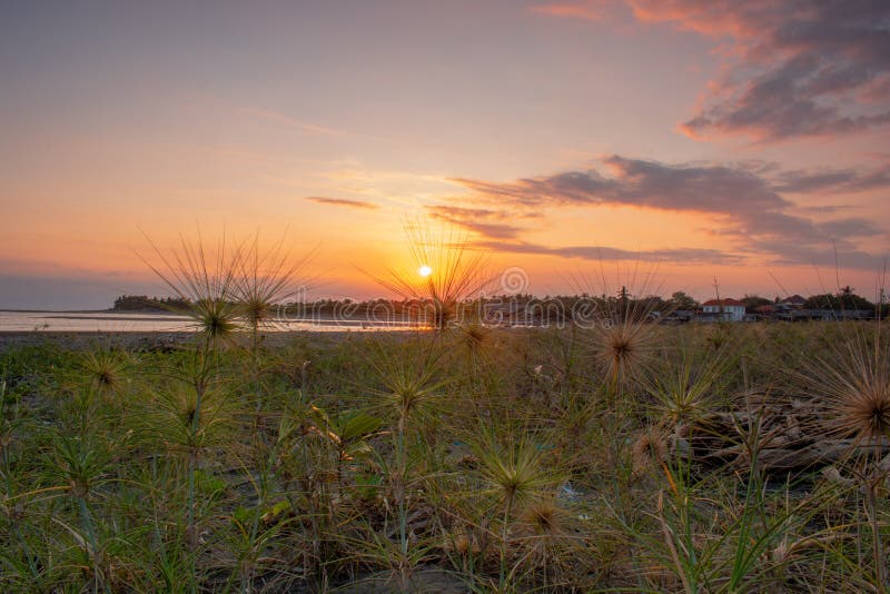 Sunset in the vilage stock photo. Image of beach, morning - 246734356