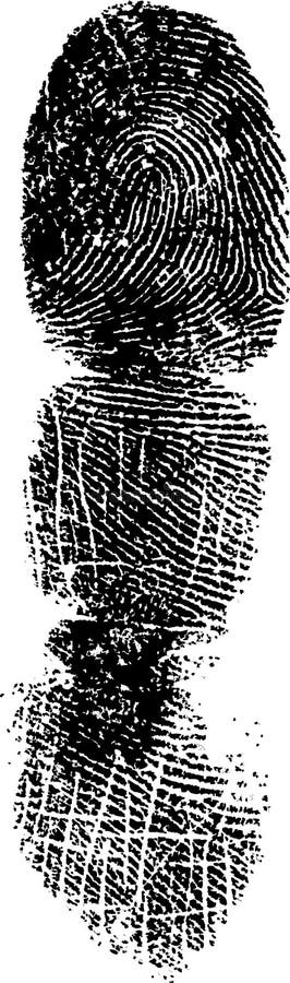 Full FingerPrint 5 Picture. Image: 2783274