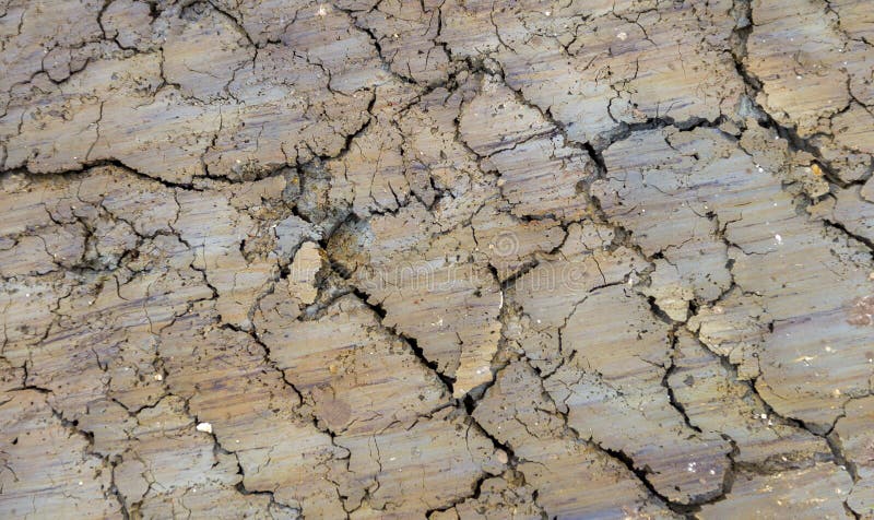 Full Frame Abstract Soil Structure Stock Image - Image of close, loess ...
