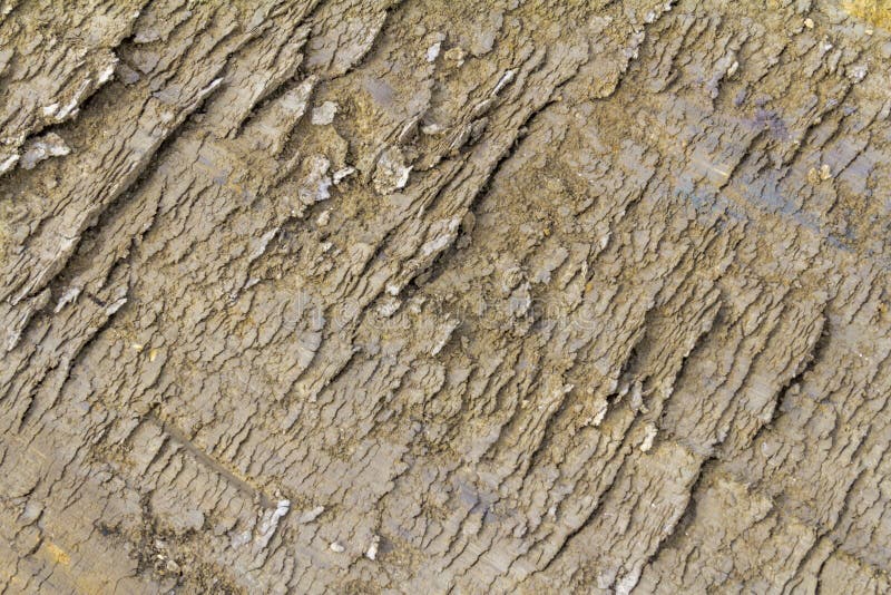 Full Frame Abstract Soil Structure Stock Photo - Image of detail ...