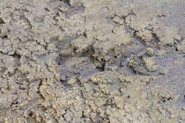 Fissured Clay Detail Stock Photos - Free & Royalty-Free Stock Photos ...