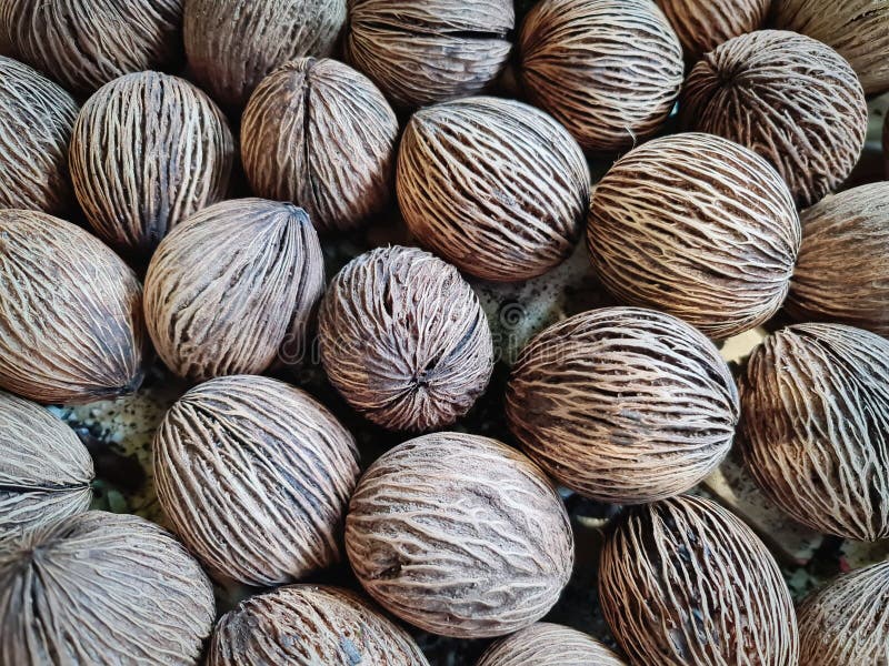 Full Frame Background of Brown Dry Nutshells Stock Photo - Image of ...