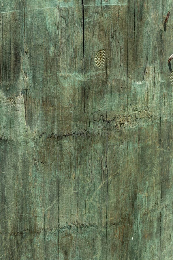 Green Tanalised Wood Background Image Stock Photo - Image of timber ...