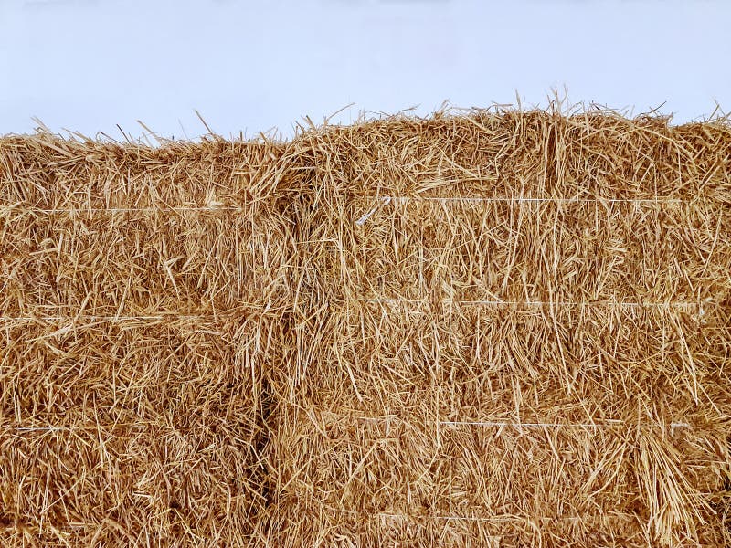 Haystack Wall of Dried Straw Stock Image - Image of grass, haystack ...