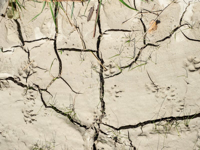 Full Frame of a Clay Soil with Grass Stock Image - Image of environment ...