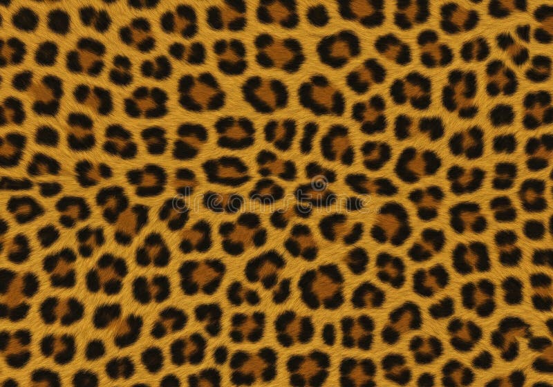 Full Frame Close-up of a Detailed Leopard Fur Print Texture Stock Image ...