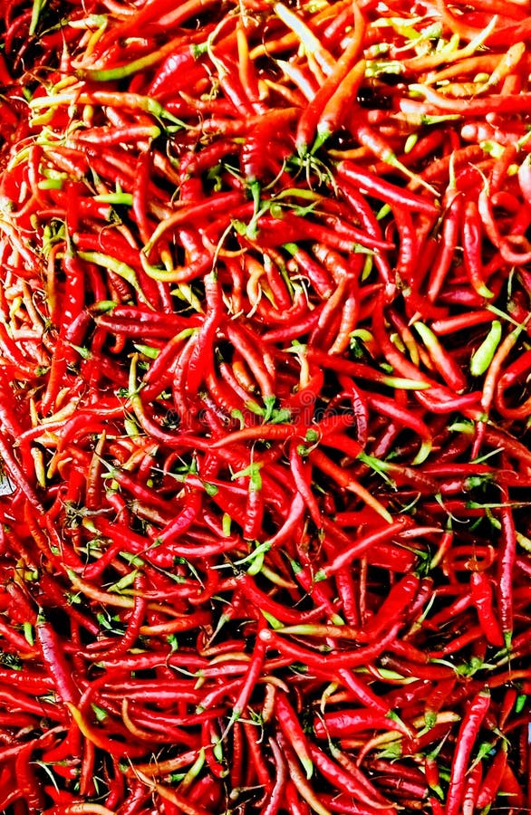 Full Frame Close-up of Red Chilli Stock Photo - Image of food, frame ...