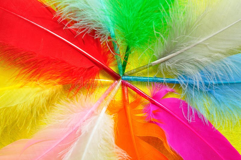 Full Frame of Colorful Feathers Stock Image - Image of frame, feather ...