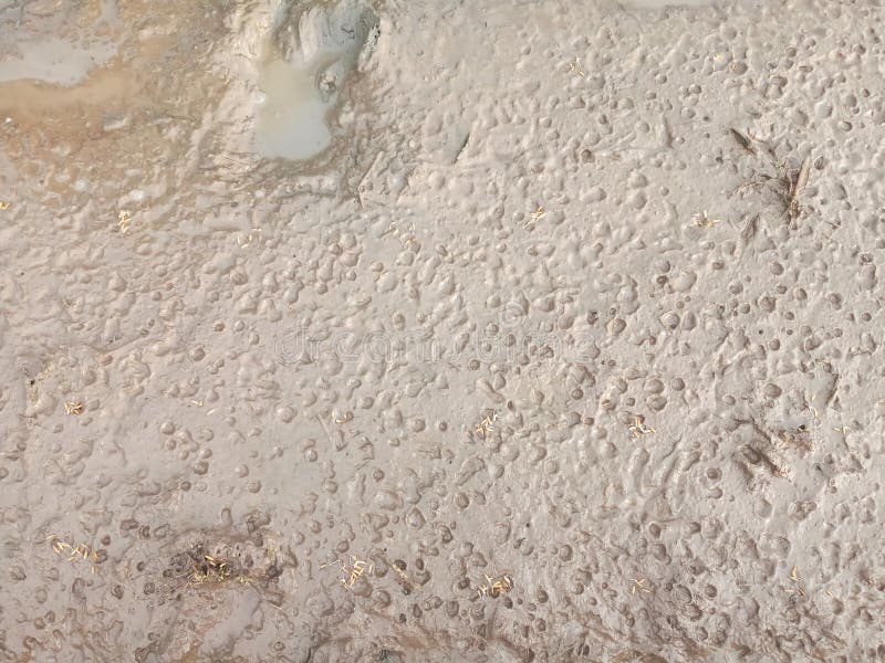 Full Frame of Dirty Mudy Field for Planting Paddy Grains Stock Image ...