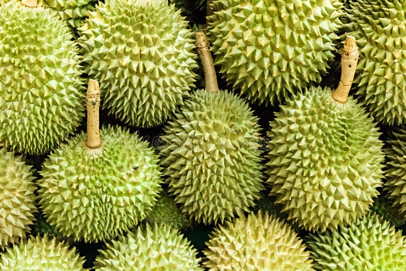 Full frame of durian stock photo. Image of market, asia - 94165912
