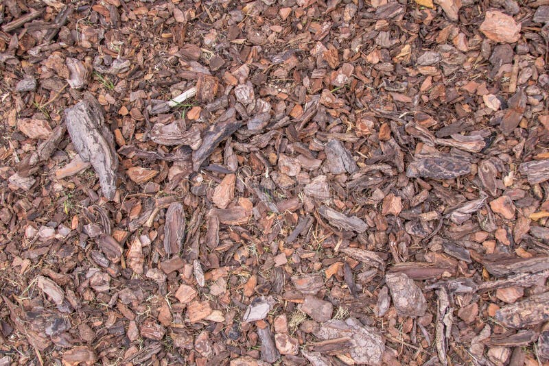 Wooden bark chips up close stock photo. Image of texture - 197846084