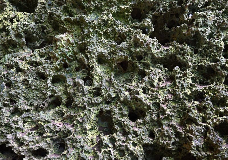 Full Frame Pattern of Volcanic Rock Stock Image - Image of fossil ...