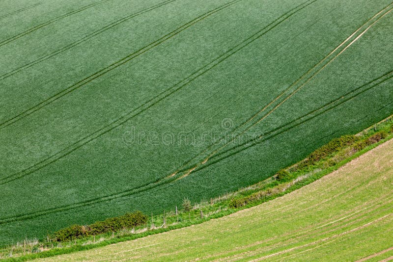 Green Fields in Spring stock image. Image of looking - 133689529