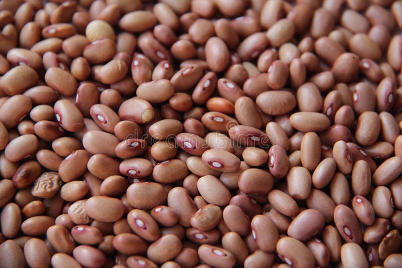 1,140 Pink Dry Beans Stock Photos - Free & Royalty-Free Stock Photos ...