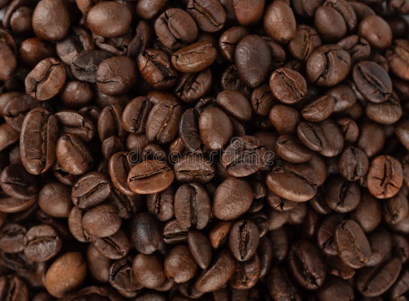 Full Frame of Roasted Robusta and Arabica Coffee Beans. Stock Photo ...