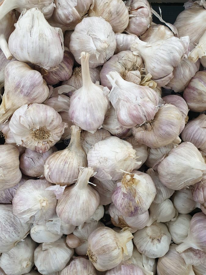 Full Frame Shot of Australian Garlic Stock Photo - Image of garlic ...