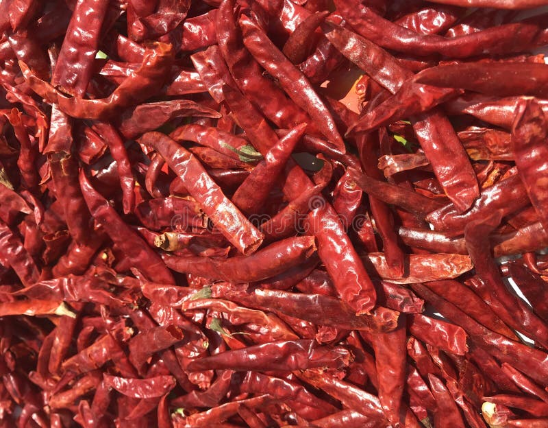 112 Dried Chilli Top Shot Stock Photos - Free & Royalty-Free Stock ...
