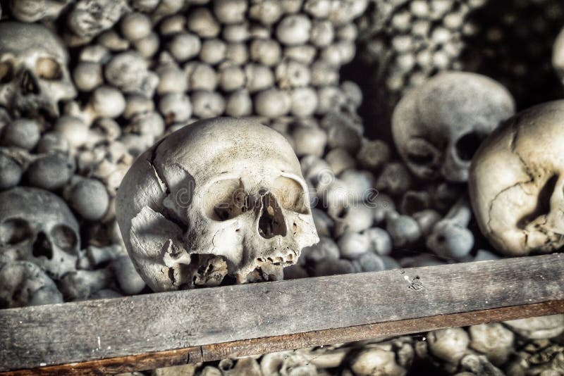 Full Frame Shot of Human Skulls Stock Image - Image of human, shot ...
