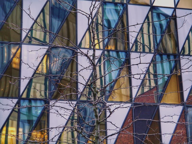 Full Frame Shot of Modern Building Behind Bare Tree Stock Photo - Image ...