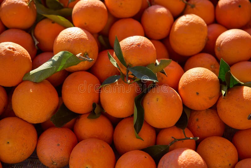 Full Frame Shot of Oranges. Oranges for Sale at Market Stall Stock ...