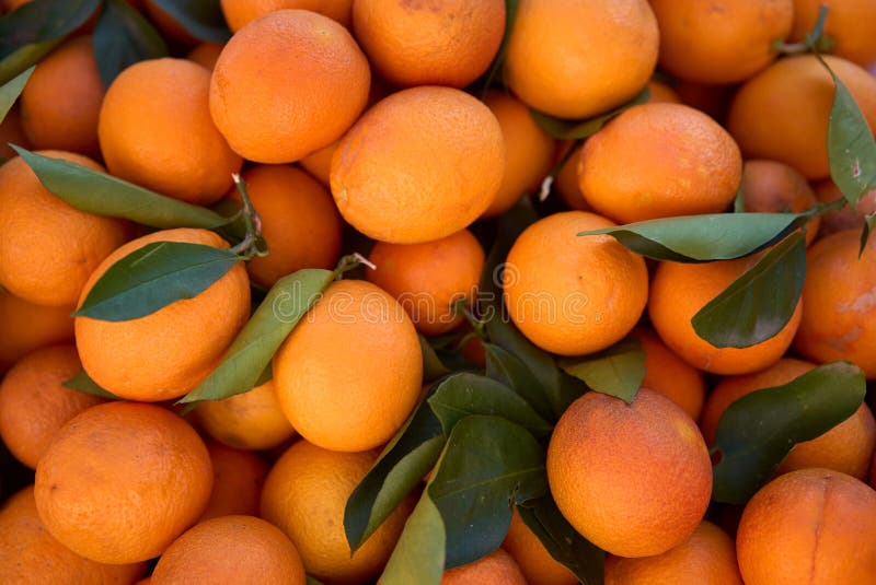 Full Frame Shot of Oranges. Oranges for Sale at Market Stall Stock ...