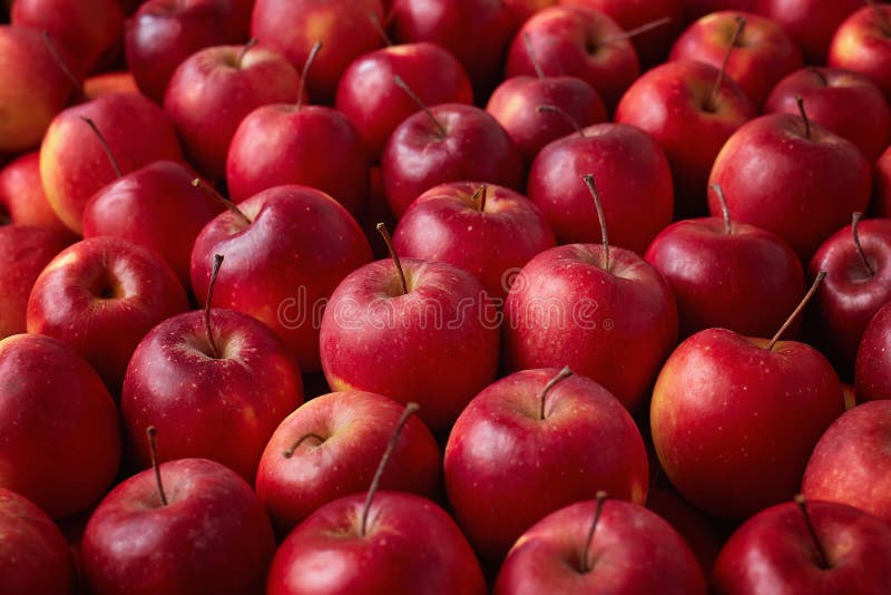 Lots of apples in a crate stock image. Image of crop - 122409123