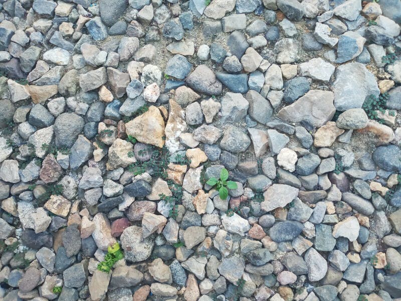 Full Frame of Small Rocks Stones or Pebbles on the Ground Stock Photo ...