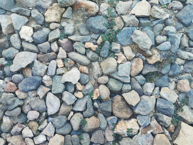 Full Frame of Small Rocks Stones or Pebbles on the Ground Stock Photo ...