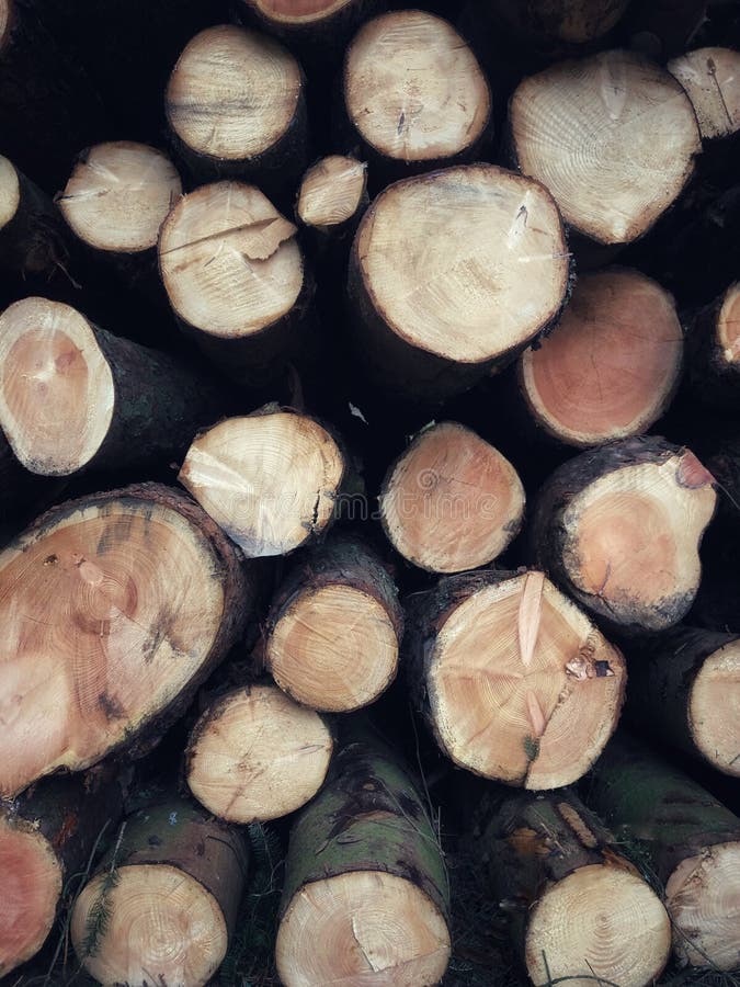 Full Frame Stack of Logs for Firewood Stock Image - Image of lumber ...