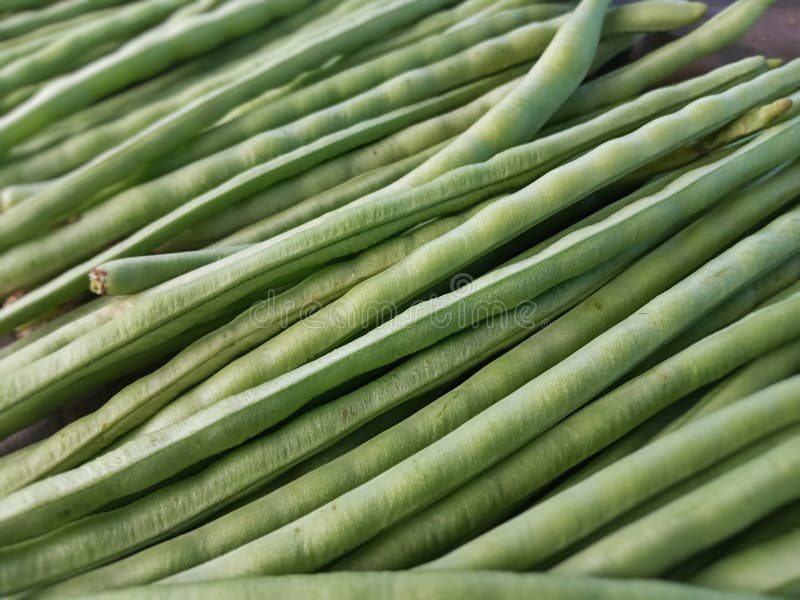 Full Frame of Yard Long Beans or Legumes Stock Image - Image of beans ...