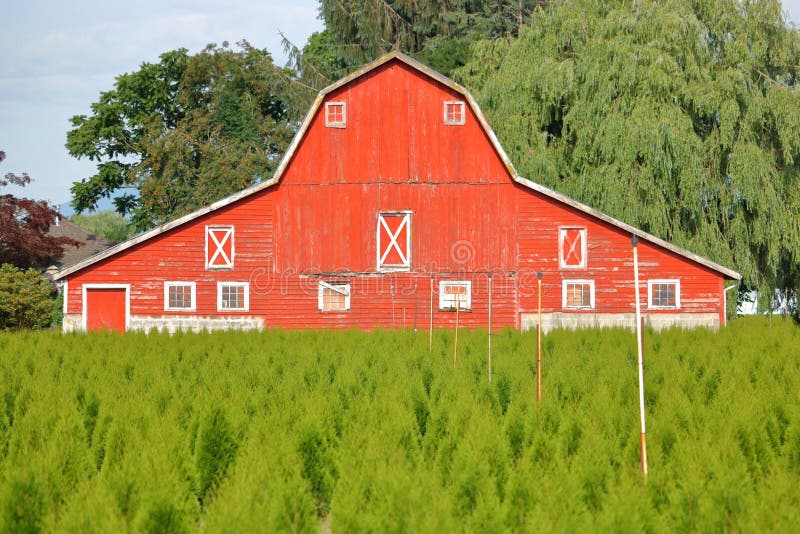 Large Traditional North American Barn Stock Image - Image of windows ...