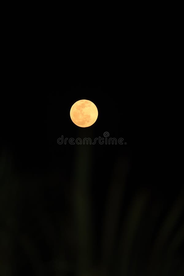 Full Glowing Moon in the Sky Stock Photo - Image of beautiful, orange ...