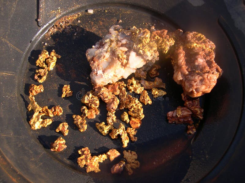 Full gold pan stock photo. Image of specimen, gold, goldfields - 31486126