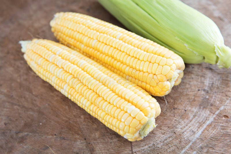 Full-grained Tender Corn on the Cob Stock Photo - Image of chopping ...