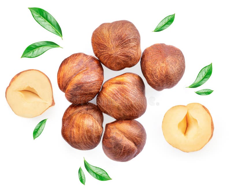Full and Halfs of Hazelnuts Isolated on White Background. Hazelnut ...