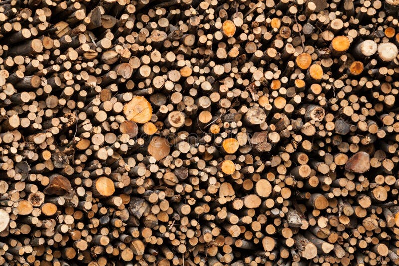 Full Image of Cut Wood Pile, Texture Stock Photo - Image of plant, ends ...