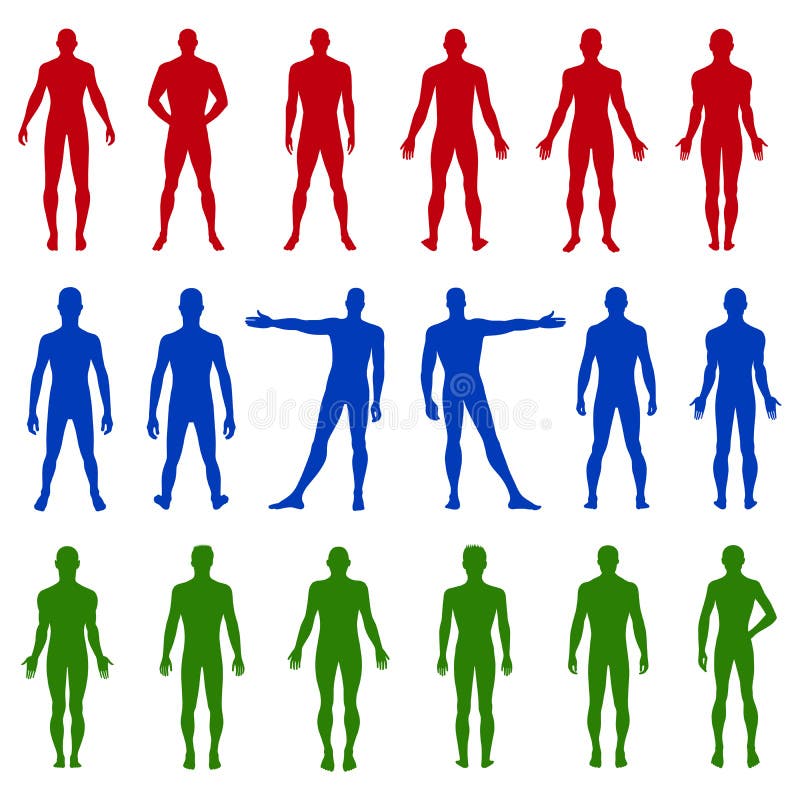 Body Anatomy, Vector Man Front Back Side Stock Vector - Illustration of ...