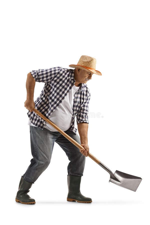 Full Length Shot of a Farmer Digging with a Shovel Stock Photo - Image ...
