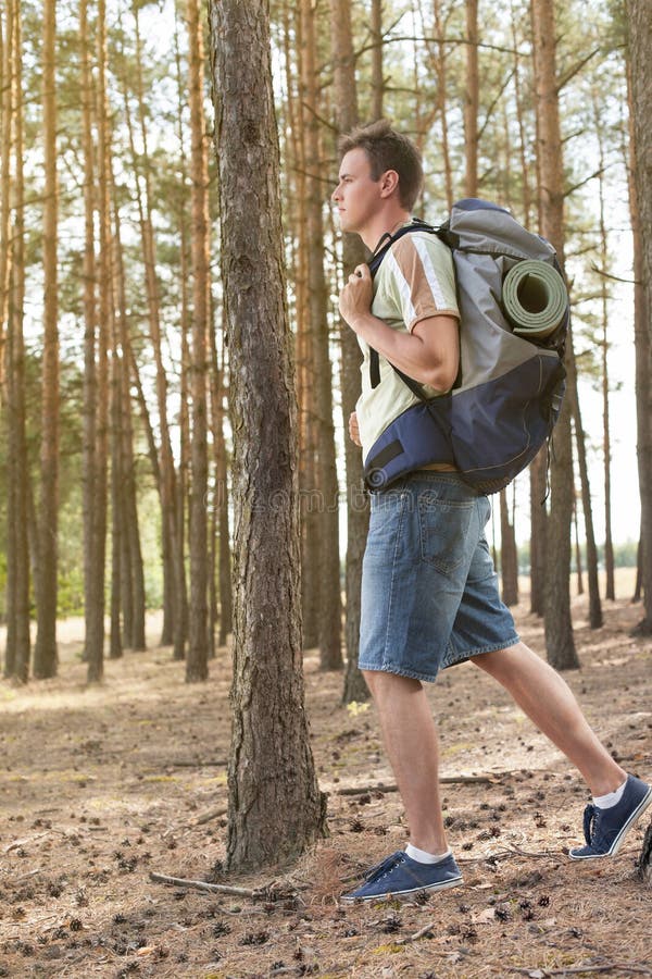 Full Length Side View of Male Hiker with Backpack Walking in Forest ...